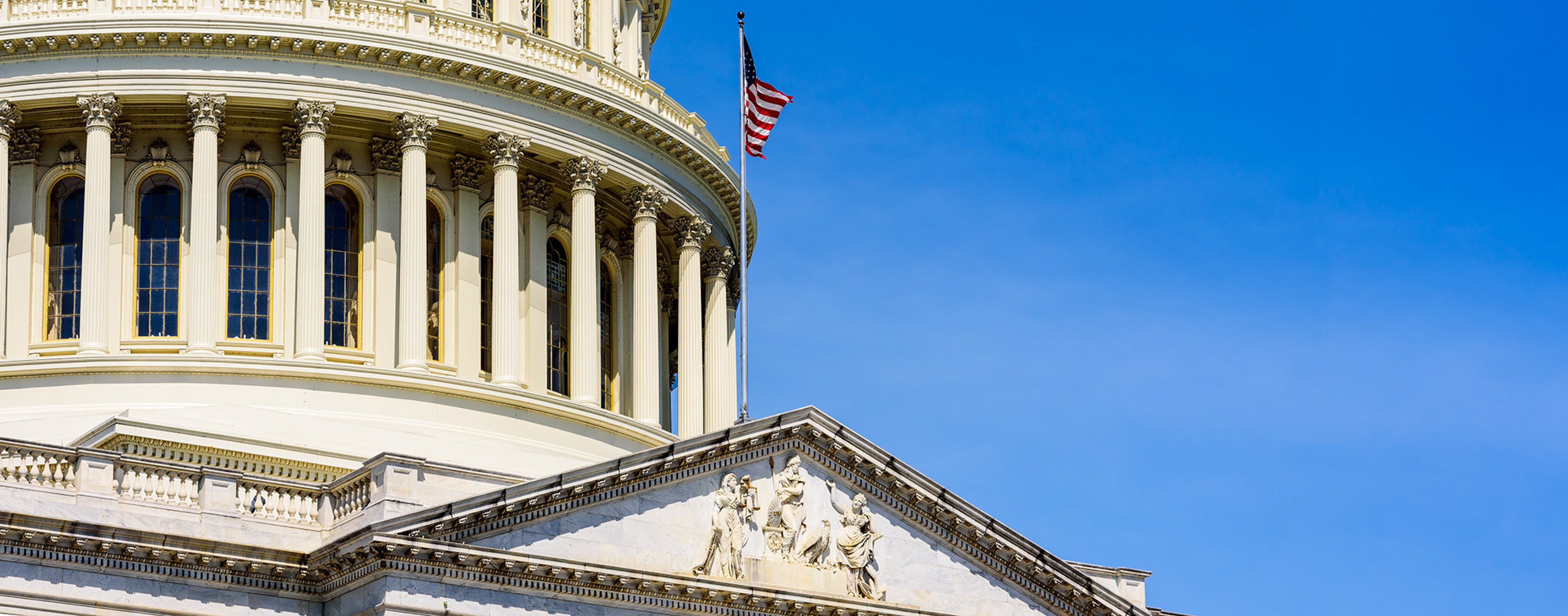 The Federal Sales Guide